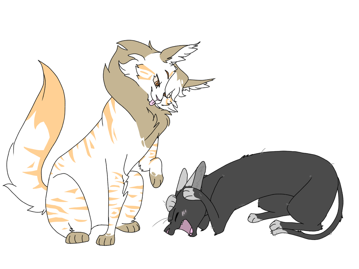 Shadowy | Warrior Cat Club Wiki | Fandom