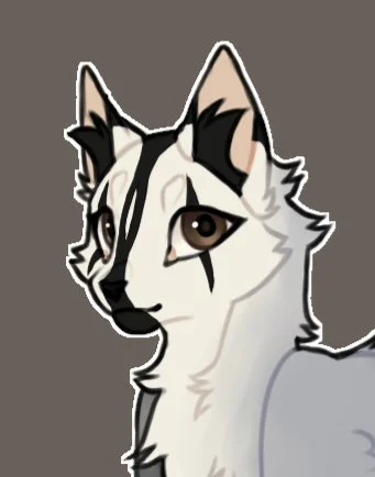 Kanik | Warrior Cat Club Wiki | Fandom
