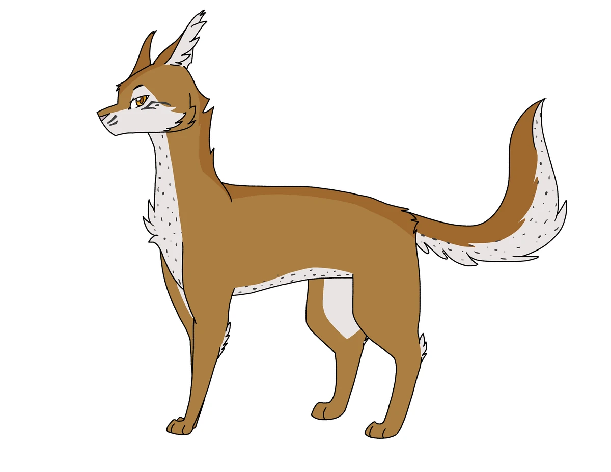 Thrushfeather (WC) | Warrior Cat Club Wiki | Fandom