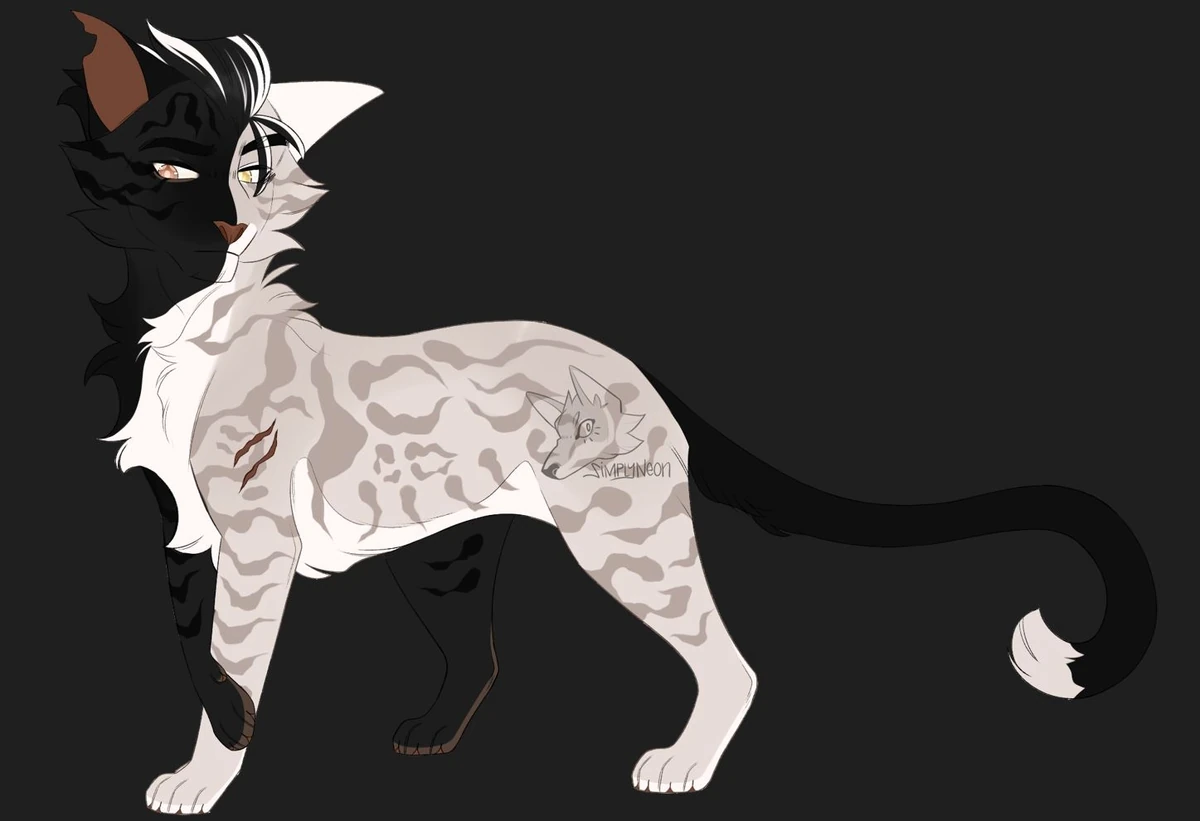 Cato | Warrior Cat Club Wiki | Fandom