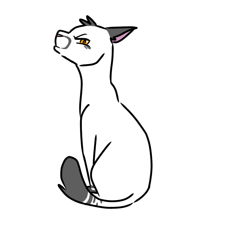 Birchpaw | Warrior Cat Club Wiki | Fandom
