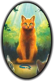Fireheart | Warriors cats Wikia | Fandom
