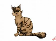 Speckletail | Warriors cats Wikia | Fandom