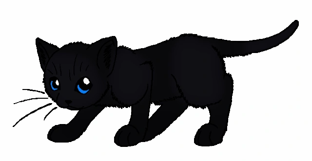 Mistykit | Warrior Cat OC Clans Wiki | Fandom