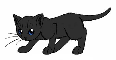 Ashkit | Warrior Cat OC Clans Wiki | Fandom