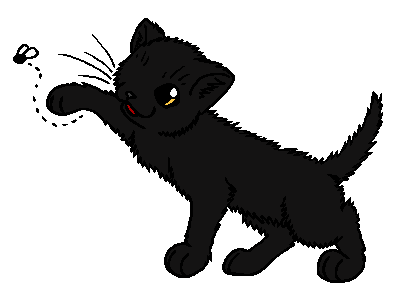 Swiftkit | Warrior Cat OC Clans Wiki | Fandom