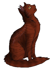 Bloodstar | Warrior Cat Stories Wikia | Fandom