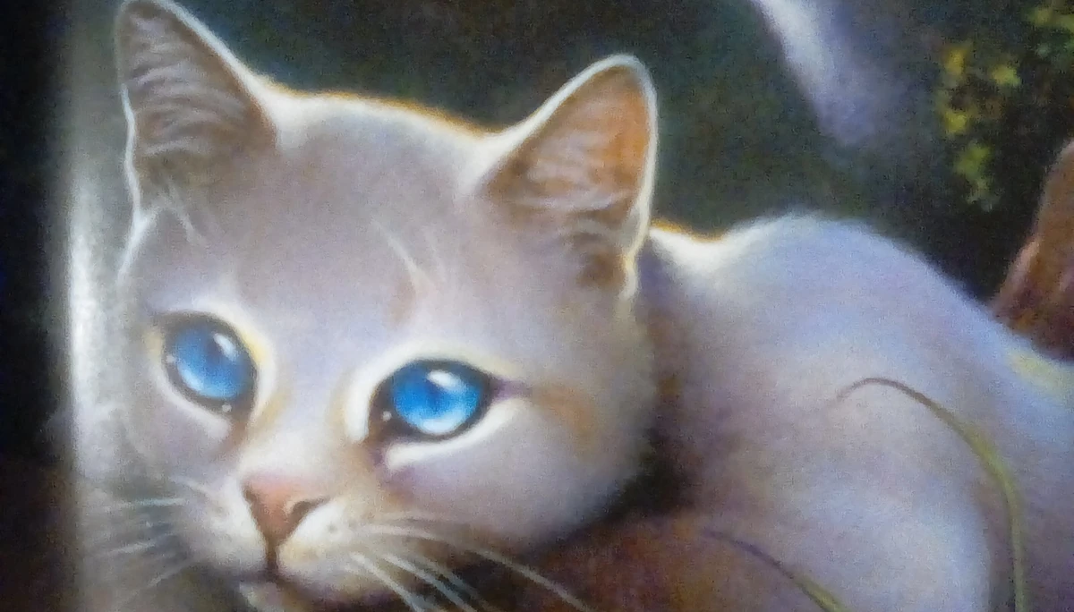 Skystar Warrior Cats 3 0 Wiki Fandom