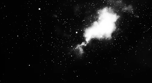 StarClan | Warrior Cats: A New Dawn Wikia | Fandom