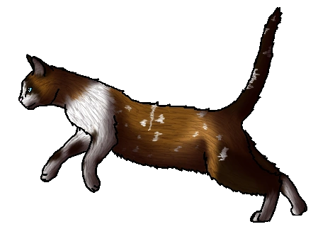 Category:Characters | Warrior Cats: A New Dawn Wikia | Fandom