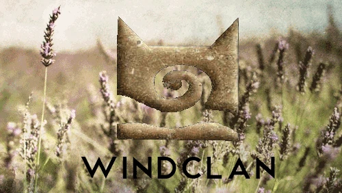 WindClan | Warrior cats clans Wiki | Fandom