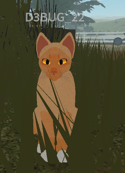 Sunshine. (DEBUG 22) | WARRIOR CATS D3BUGS Wiki | Fandom