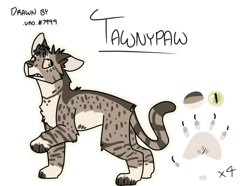 Tawnypaw | Warrior Cats Echoes Of Stars Wiki | Fandom