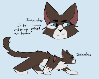 Juniperhop | Warrior Cats Echoes Of Stars Wiki | Fandom