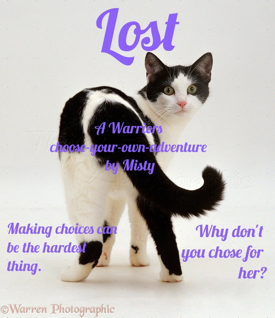 Lost | WARRIOR CATS FAN HEADQUARTERS Wiki | Fandom