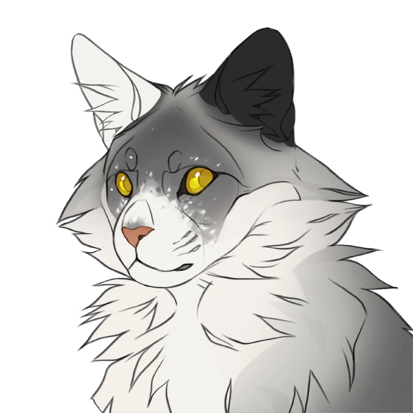 Violetdawn | WARRIOR CATS FAN HEADQUARTERS Wiki | Fandom