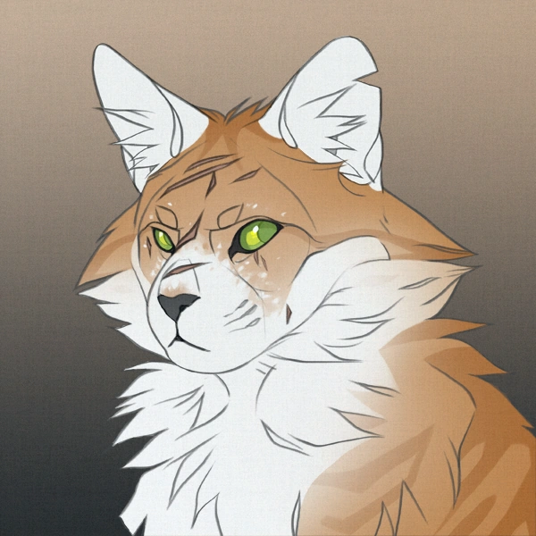 Talonflame | WARRIOR CATS FAN HEADQUARTERS Wiki | Fandom