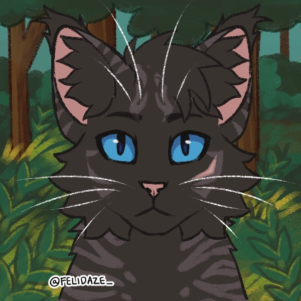 Wolfshadow | Warrior Cats Fanon Wiki | Fandom