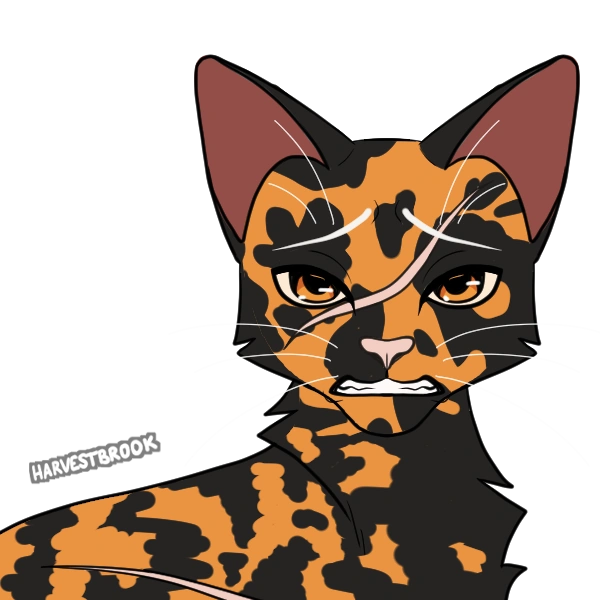Chestnutpelt | Warrior Cats Fanon Wiki | Fandom