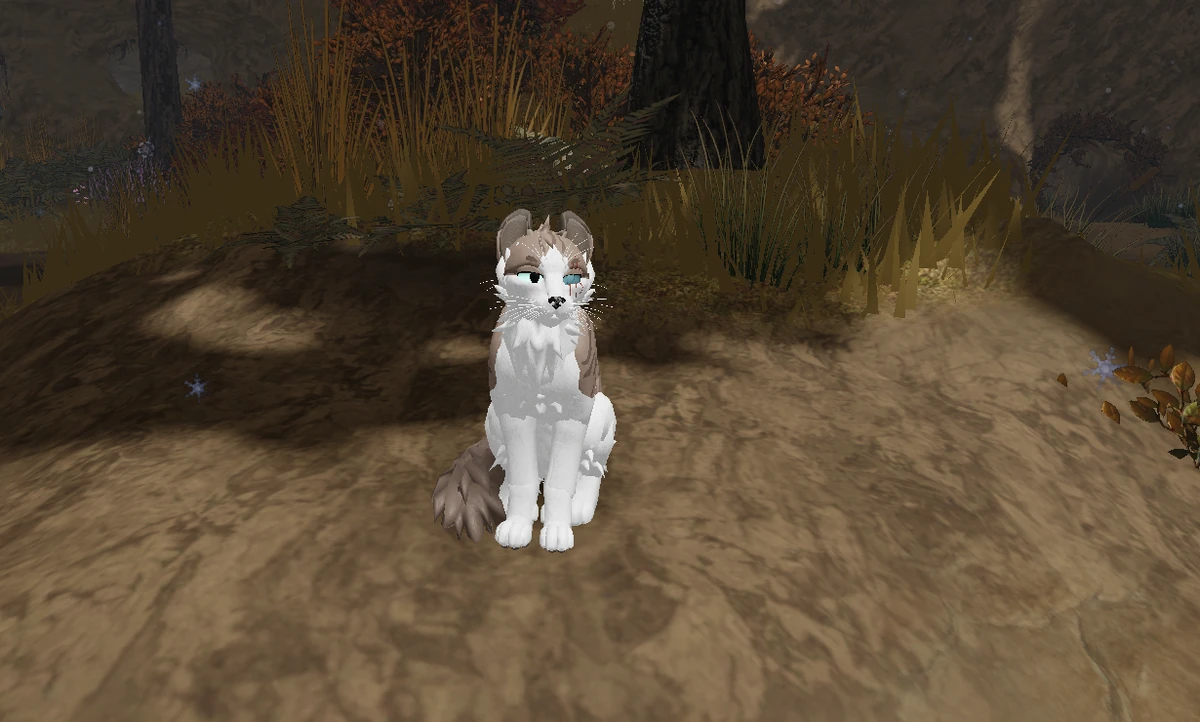 Aspenshade | Warrior Cats Fanon Wiki | Fandom