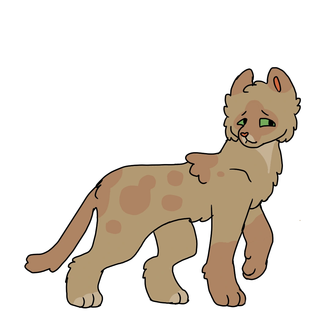 Dappledpaw | Warrior Cats Fanon Wiki | Fandom