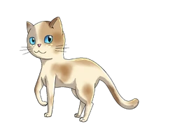 One Small Detail | Warrior Cats Fanon Wiki | Fandom