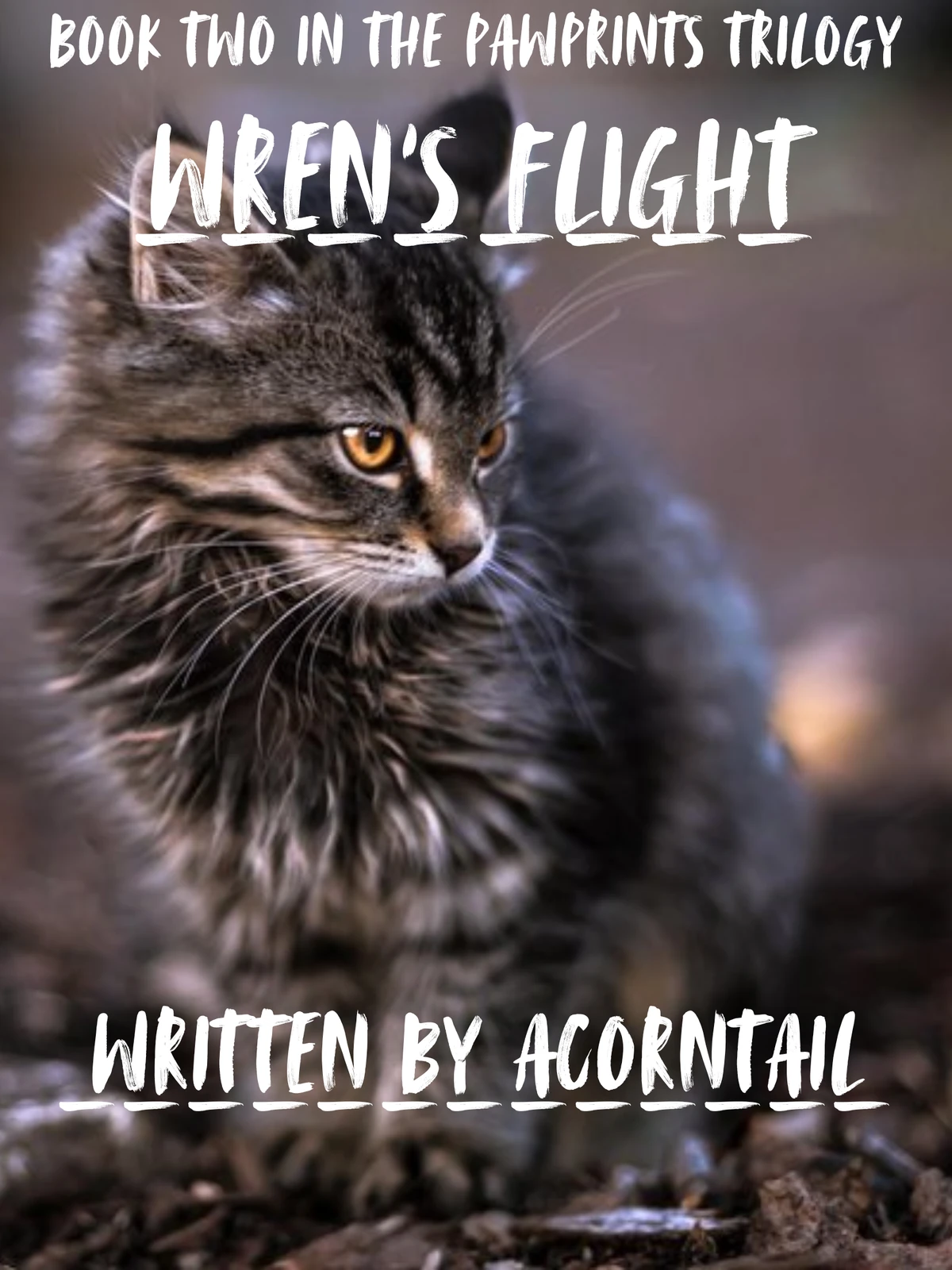 Wren | Warrior Cats Fanon Wiki | Fandom