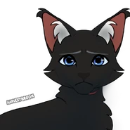 Category:Characters | Warrior Cats Fanon Wiki | Fandom