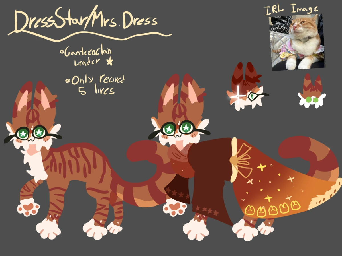 DressStar | Warrior Cats Fanon Wiki | Fandom