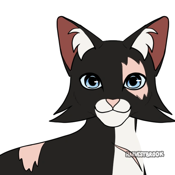Socks (LGB) | Warrior Cats Fanon Wiki | Fandom