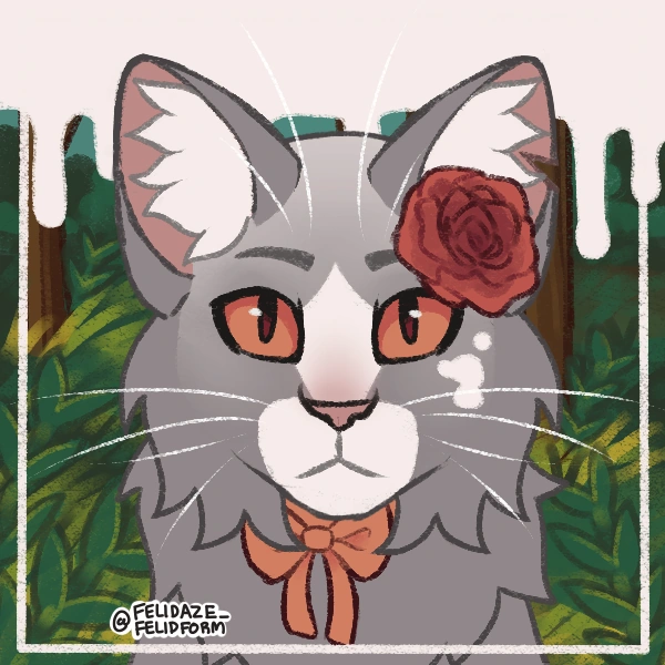 Haven | Warrior Cats Fanon Wiki | Fandom