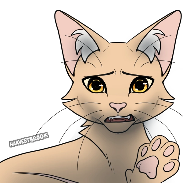 Category:Kittypets | Warrior Cats Fanon Wiki | Fandom