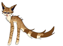 DogeStar | Warrior Cats Fanon Wiki | Fandom