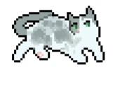 Brookstar | Warrior Cats Fanon Wiki | Fandom