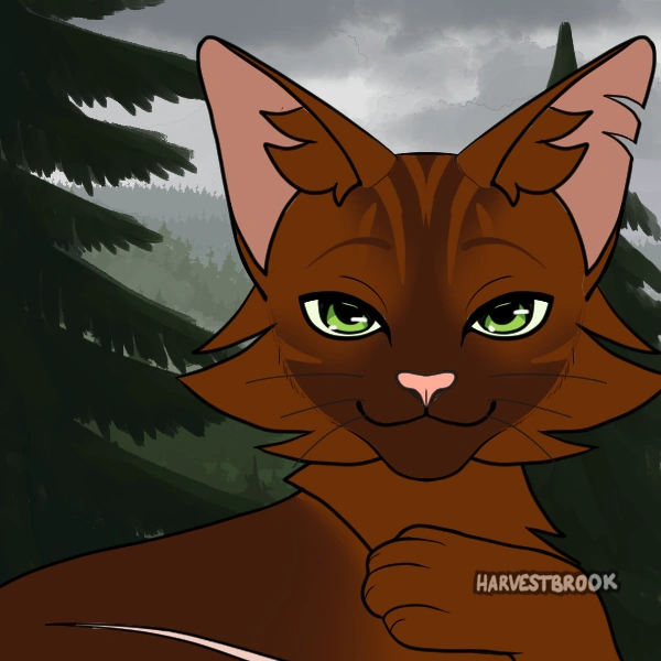 Sapphireshine | Warrior Cats Fanon Wiki | Fandom