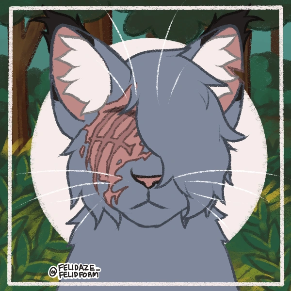 Frostflood | Warrior Cats Fanon Wiki | Fandom