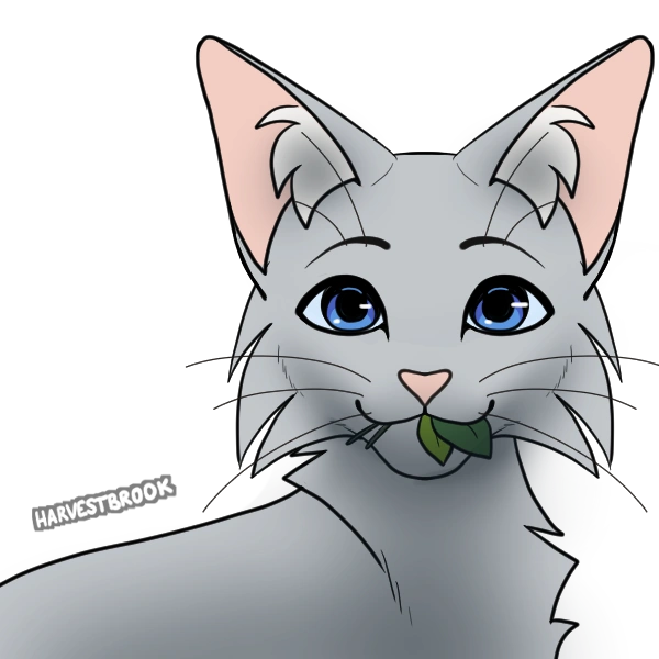 Silvercloud | Warrior Cats Fanon Wiki | Fandom
