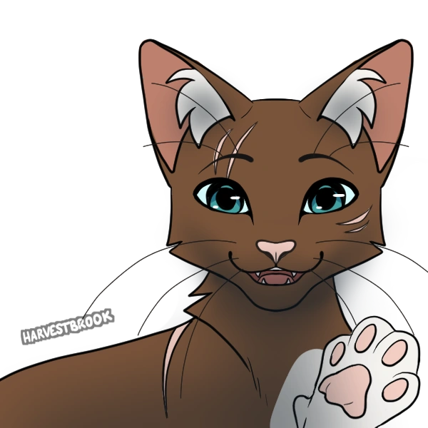 Sparknose | Warrior Cats Fanon Wiki | Fandom