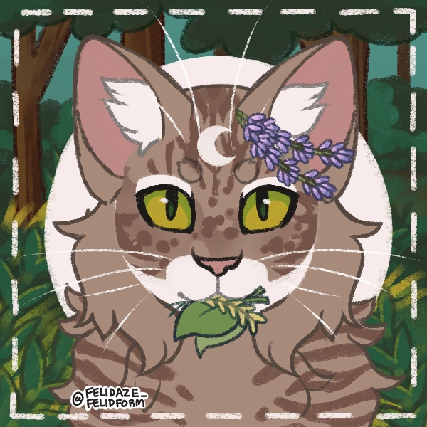 Violetlightning | Warrior Cats Fanon Wiki | Fandom
