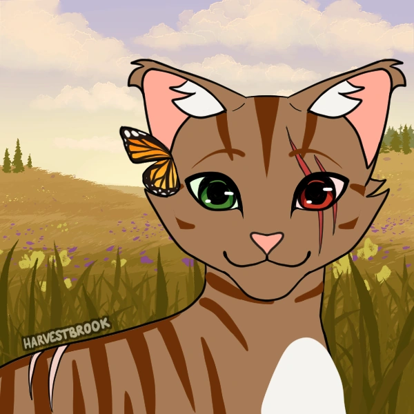 Honeyflame | Warrior Cats Fanon Wiki | Fandom