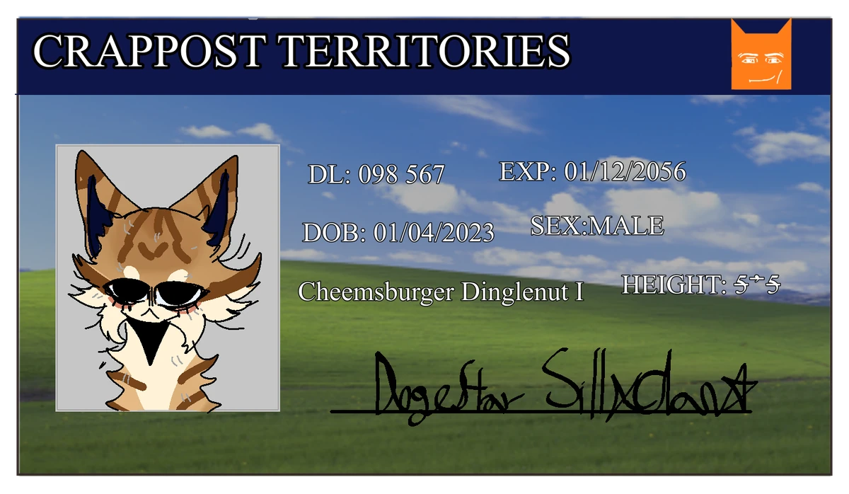DogeStar/Trivia | Warrior Cats Fanon Wiki | Fandom