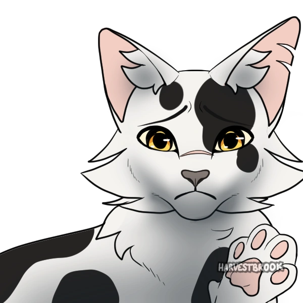 Badgerclaw | Warrior Cats Fanon Wiki | Fandom