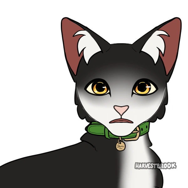 Smudge (LGB) | Warrior Cats Fanon Wiki | Fandom