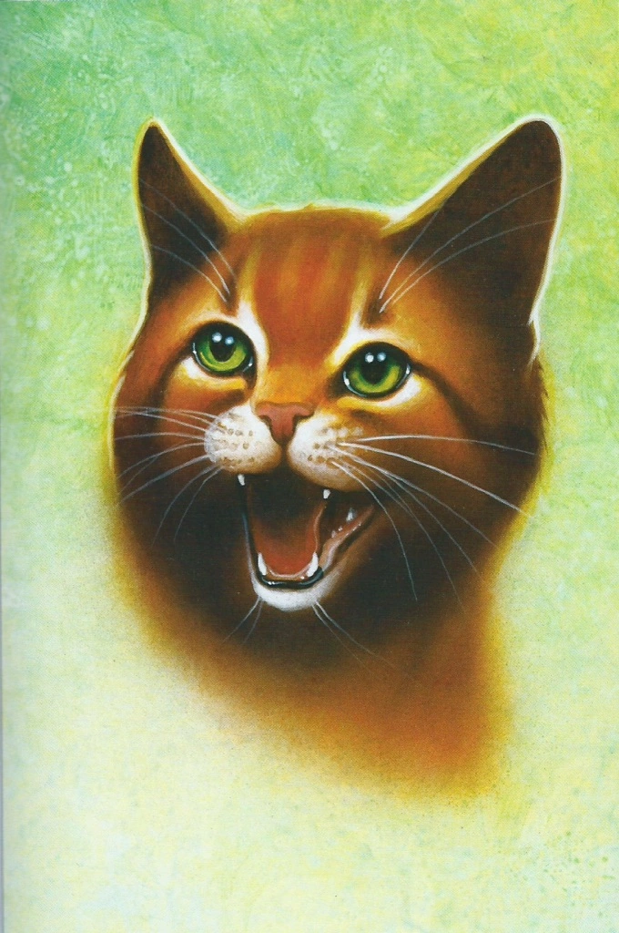 Firestar | Warrior Cats (IRP) Wiki | Fandom