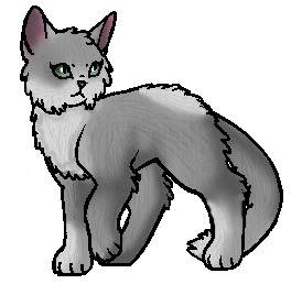 Mist (OC) | Nederlandse Warrior Cats wiki | Fandom
