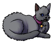 Rook | Nederlandse Warrior Cats wiki | Fandom