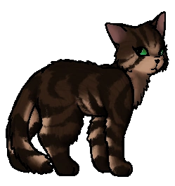 Jingo | Nederlandse Warrior Cats wiki | Fandom