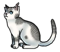 Lindepoel | Nederlandse Warrior Cats wiki | Fandom