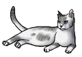 Lindepoel | Nederlandse Warrior Cats wiki | Fandom