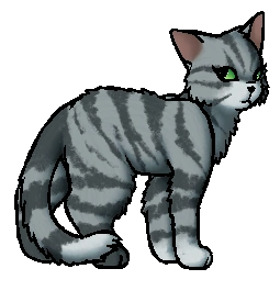 Storm (OC) | Nederlandse Warrior Cats wiki | Fandom